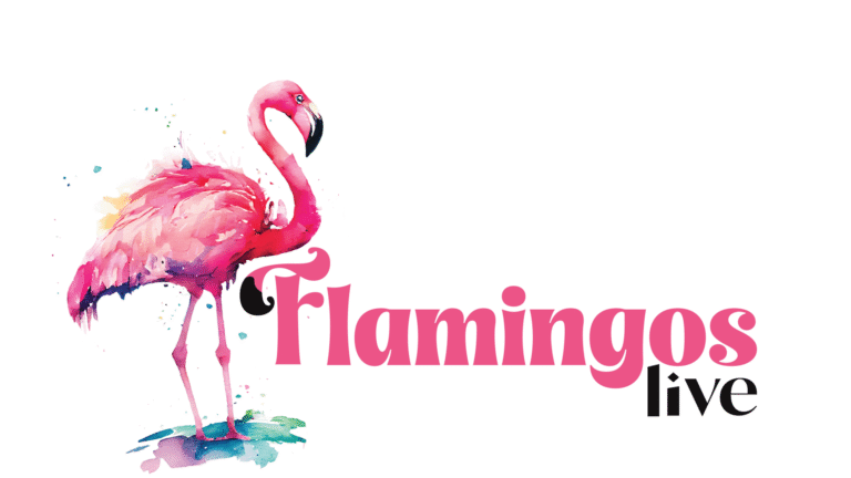 » FLAMINGOS Live